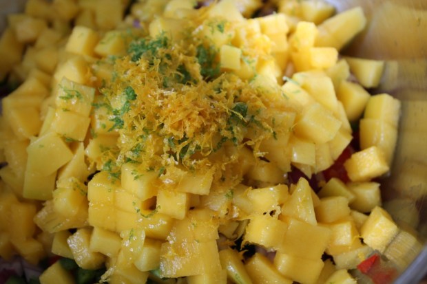 Mango Pico | highmadefood.com